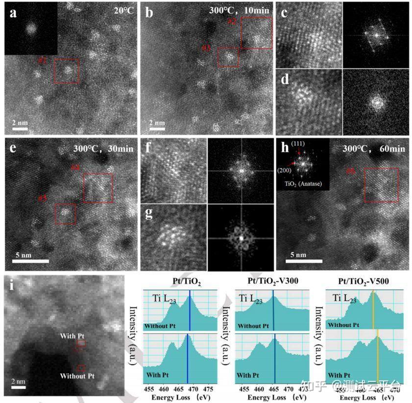 浙大「国家高层次青年人才」联手中科大「优青」，最新Angew！ - 知乎