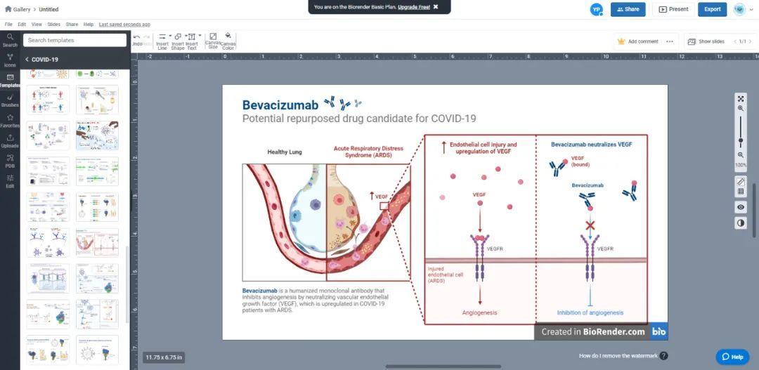 又一个生物与医学PPT素材神器：BioRender - 知乎