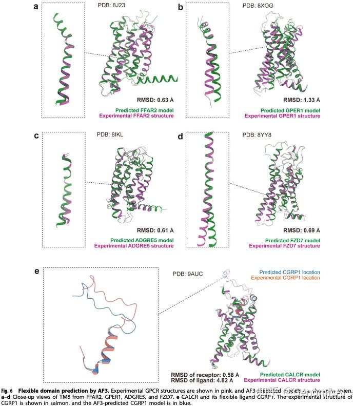 AlphaFold3预测GPCRs结构任重道远 - 知乎