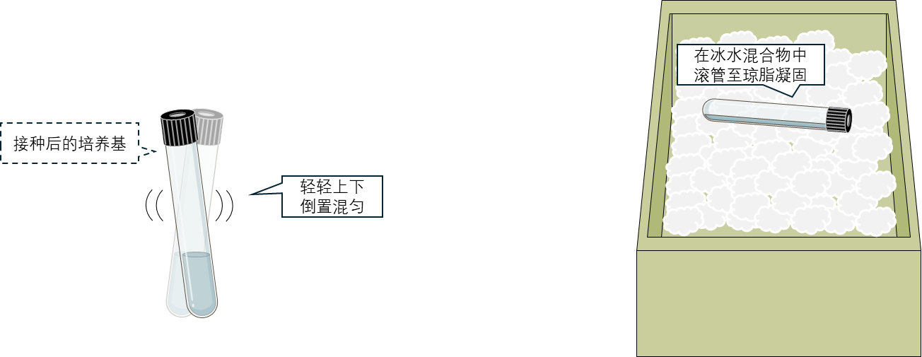 亨盖特厌氧滚管技术（Hungate Anaerobic Roll-Tube Technique）：原理、操作与应用指南 - 知乎