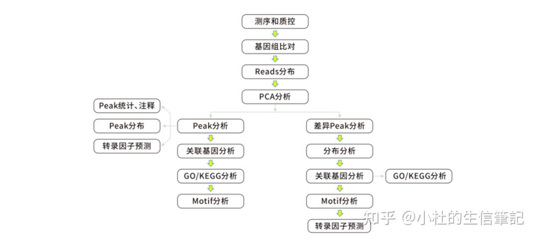 DAP-seq测序（DNA亲和纯化测序）！ - 知乎