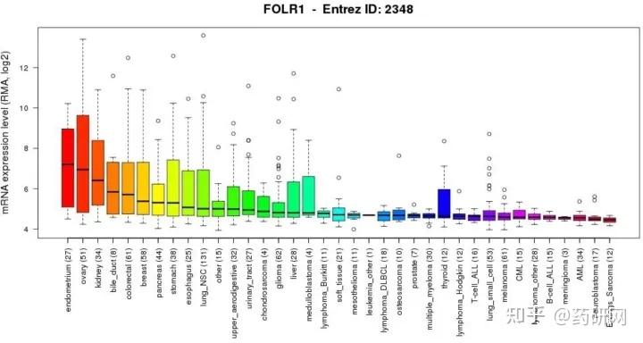 FOLR1（叶酸受体α）靶点布局加速，驱动多维肿瘤治疗新浪潮 - 知乎