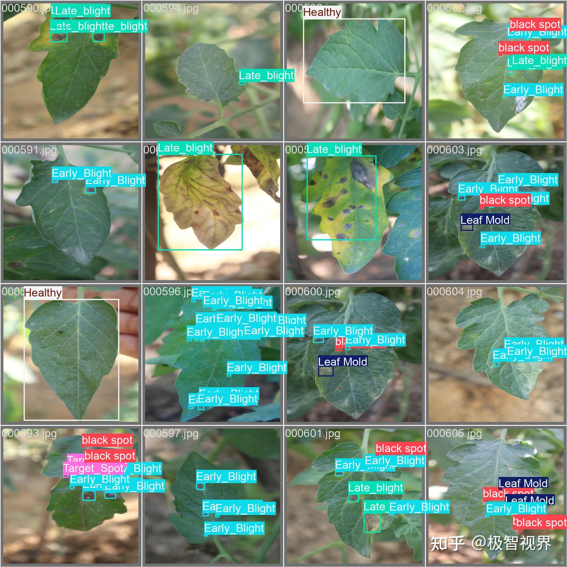 目标检测数据集 - 番茄叶病虫害检测数据集下载「包含VOC、COCO、YOLO三种格式」 - 知乎