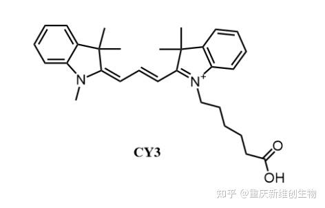 CY (Cyanine) 花菁类染料是什么？ - 知乎