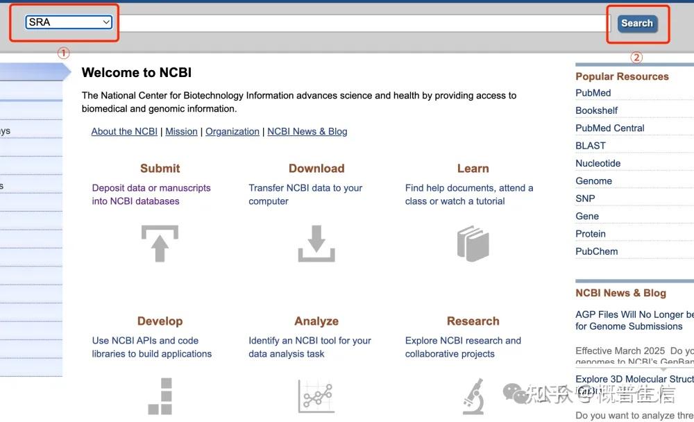 ncbi怎么使用？ - 知乎