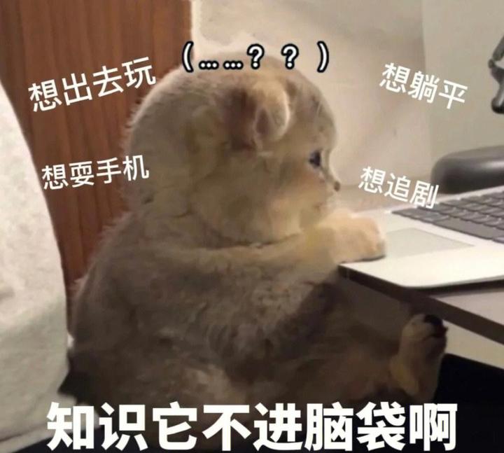 Rényi divergence 基础 - 知乎