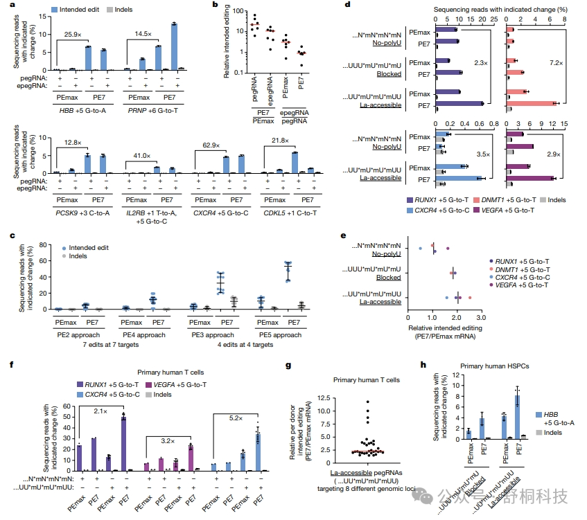 文献分享 | Nature：Prime Editor重磅升级，PE7系统！ - 知乎