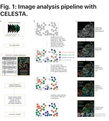 每日文摘 | 2022年08月04日 - 知乎