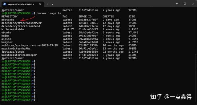 使用 Docker 安装 Postgresql 数据库 知乎 9518