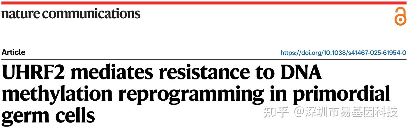 易基因：Nat Commun/IF15.7：多组学研究揭示UHRF2在原始生殖细胞DNA甲基化重编程中的抗性调控机制 - 知乎