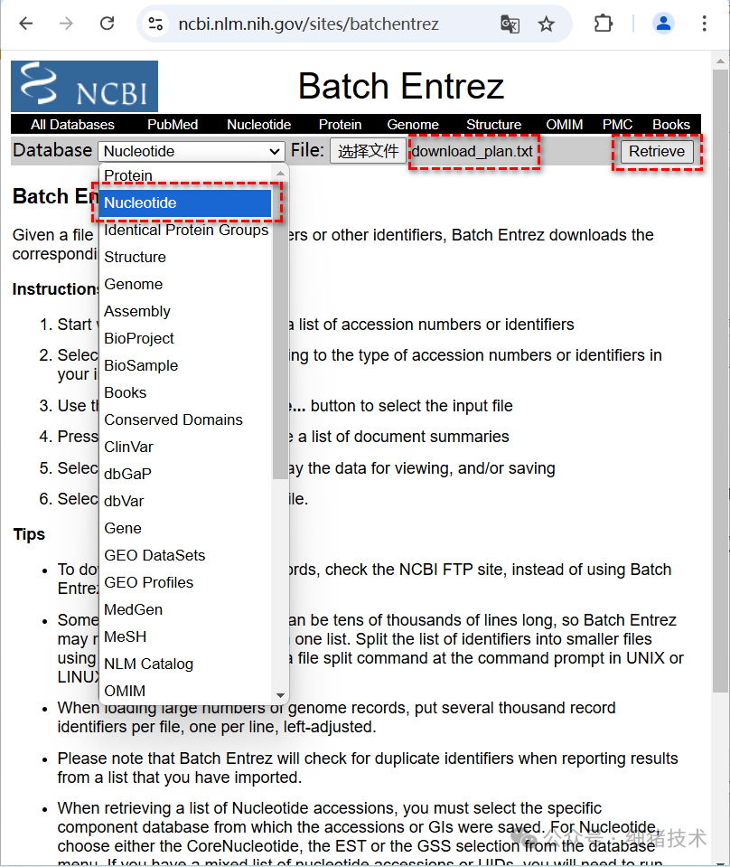 应用Entrez工具下载NCBI序列数据 - 知乎