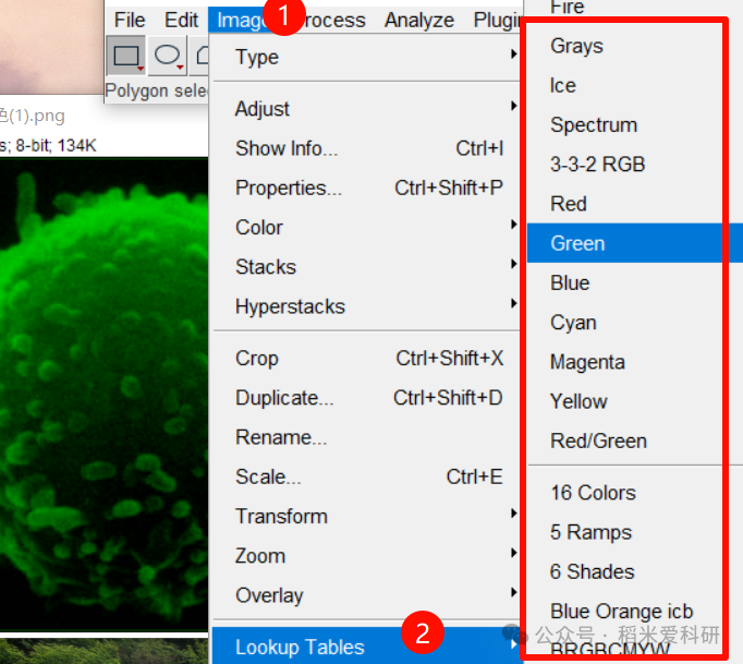 用ImageJ添加伪彩 - 知乎