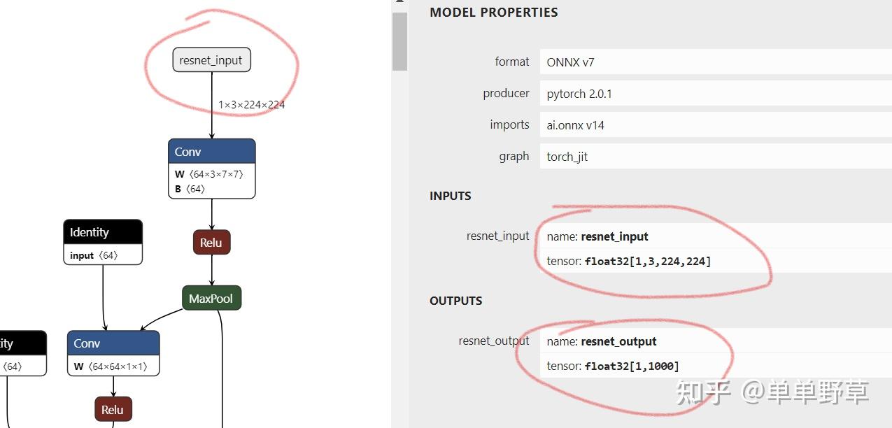 ONNX一本通：综述&使用&源码分析（持续更新） - 知乎