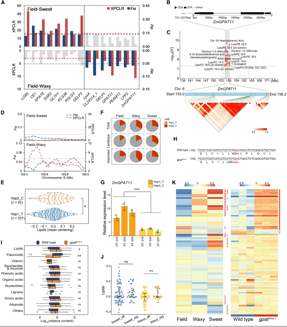 GWAS之后如何进行mGWAS分析？如何准备样本？ - 知乎