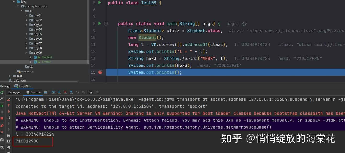 【9】Java 中类对象存储在那个区域？静态变量存储在哪一个区域？JHSDB 工具的使用方法？ - 知乎