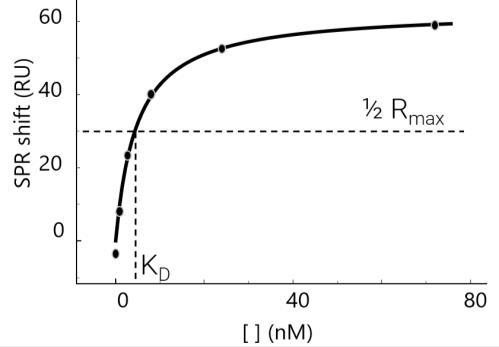利用P4SPR分子互作仪进行抗体结合分析——比较静态和动态 SPR 特性 - 知乎