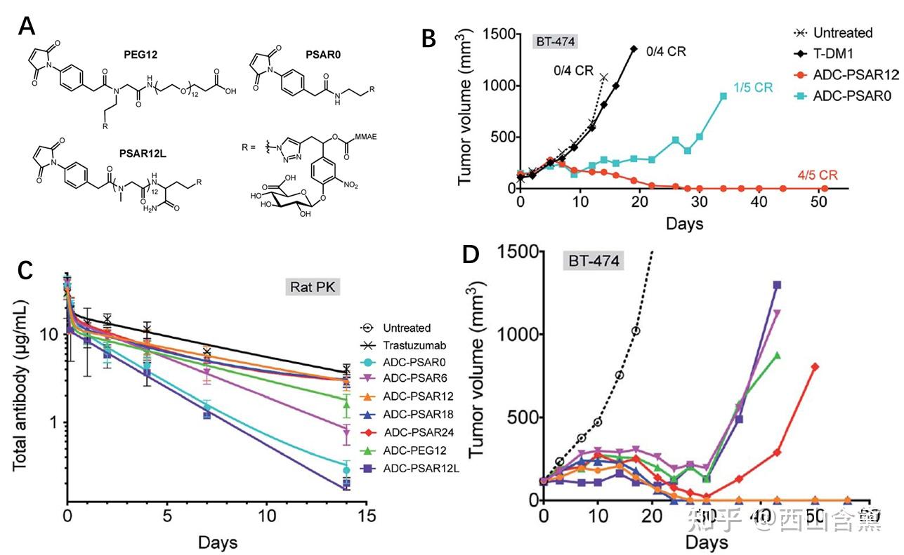 Beyond PEGylation：聚肌氨酸(Polysarcosine)在ADC领域的应用 - 知乎
