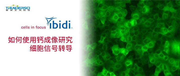 如何使用钙成像研究细胞信号转导|ibidi实验应用 - 知乎