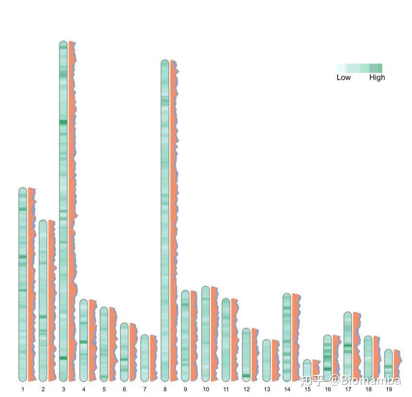 染色体可视化神包——RIdeogram - 知乎