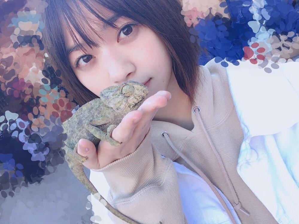 【Win】彻底解决subprocess.CalledProcessError - 知乎