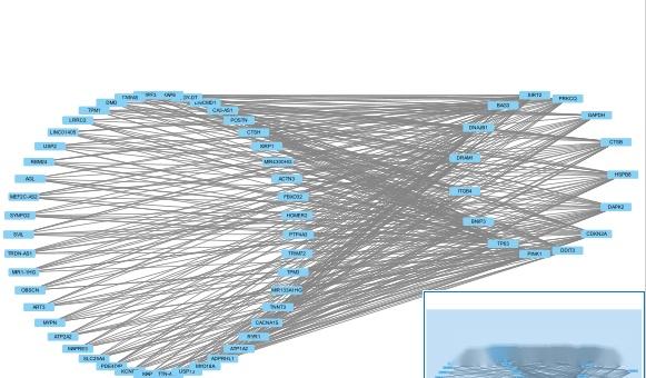 手把手教你使用Cytoscape - 知乎