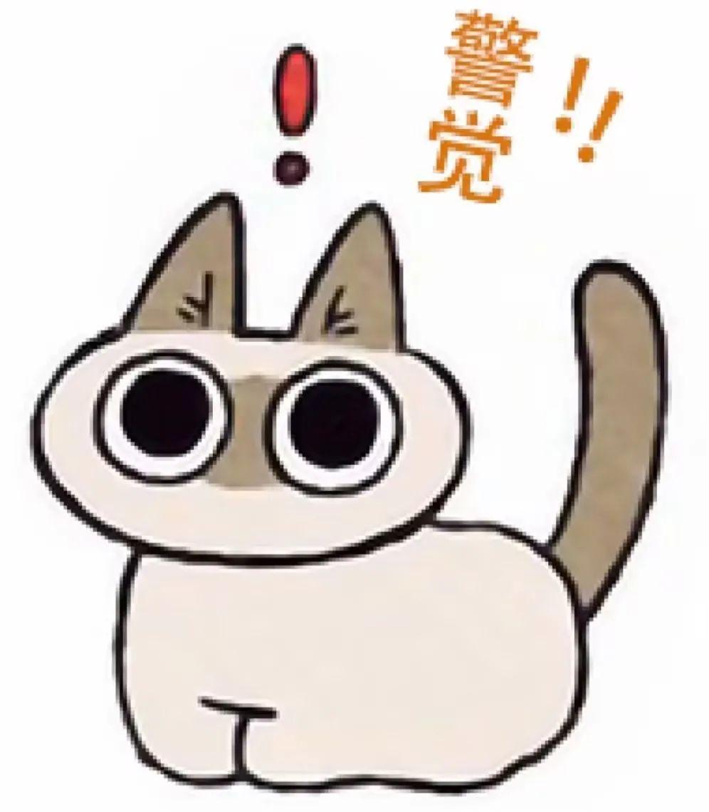 暹罗猫小豆泥表情包整理（侵删） 知乎