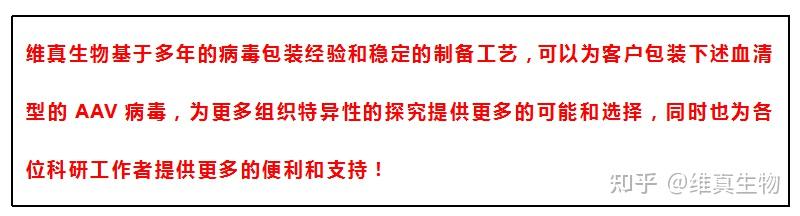 更多【AAV血清型】被开发，组织特异性研究再添新选择！ - 知乎