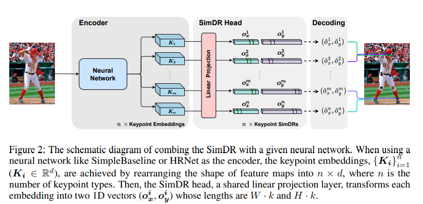 ECCV2022 Oral | 告别Heatmap，人体姿态估计表征新方法SimCC(SimDR) - 知乎