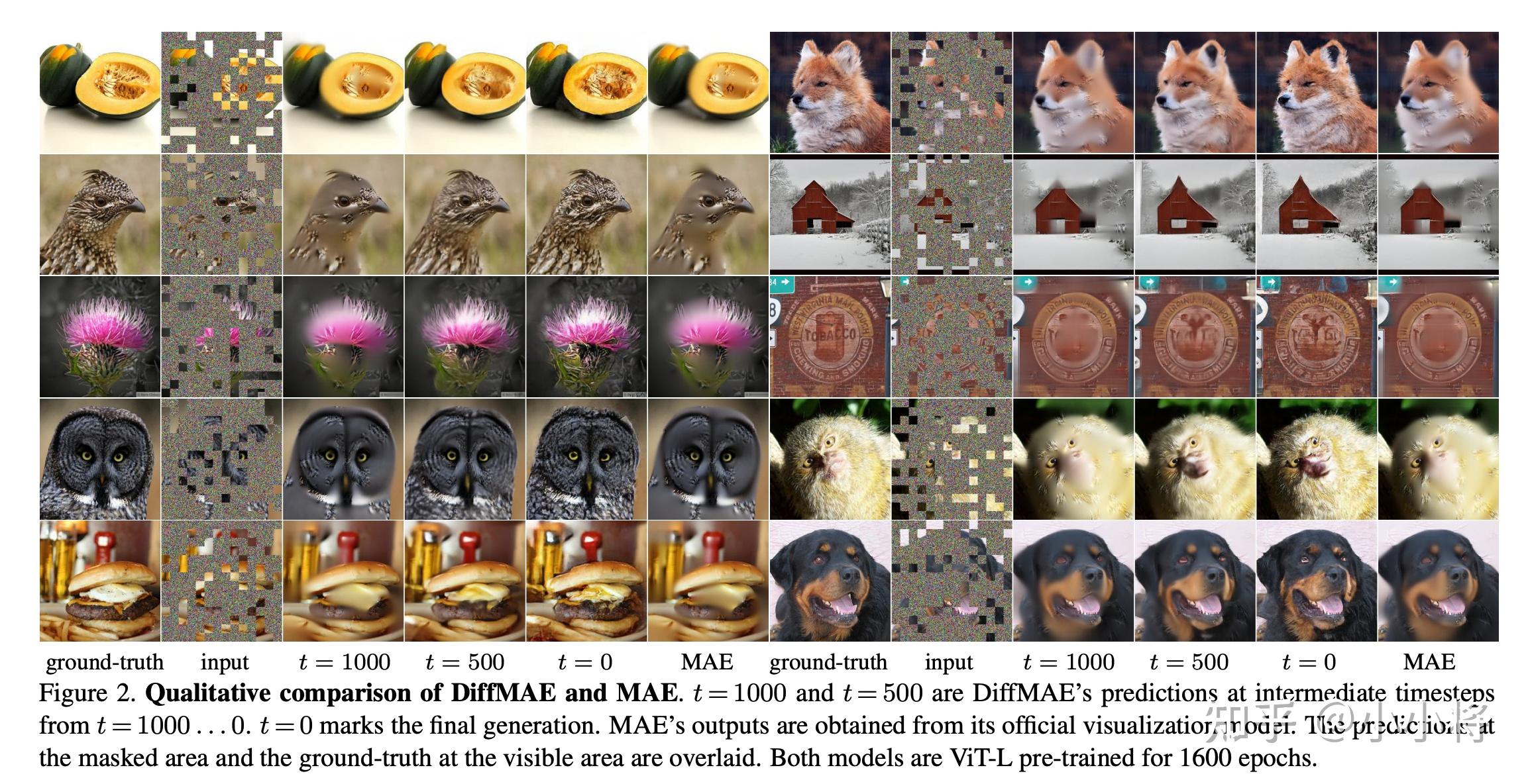简读Diffusion Models as Masked Autoencoders - 知乎