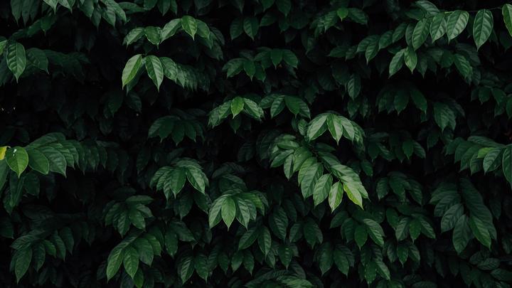 使用Snap7读写西门子S7系列PLC - 知乎