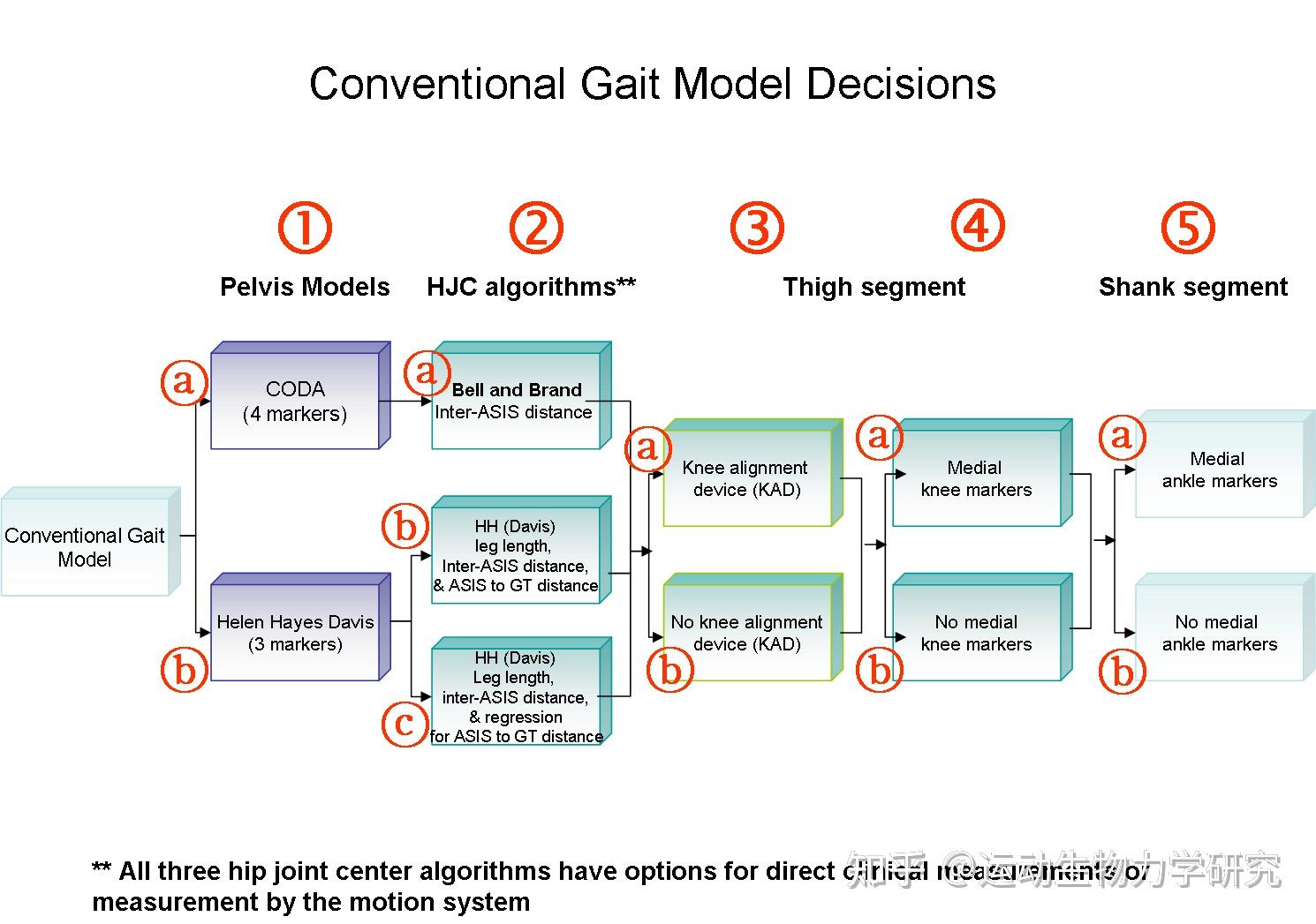 Plug-In Gait Lower Limb - 知乎