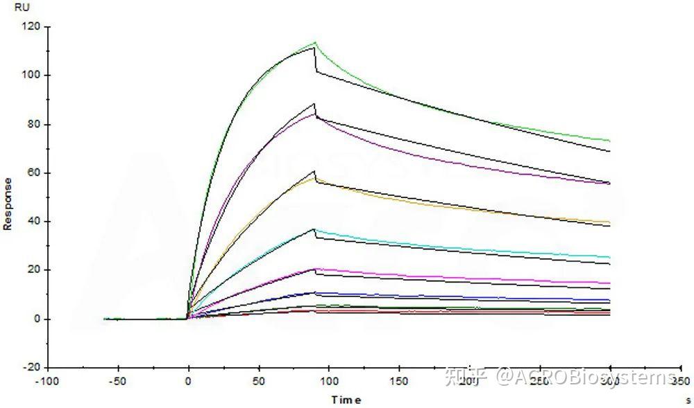 【靶点新势力】IL-23，如何成为自免领域“香饽饽”？ - 知乎