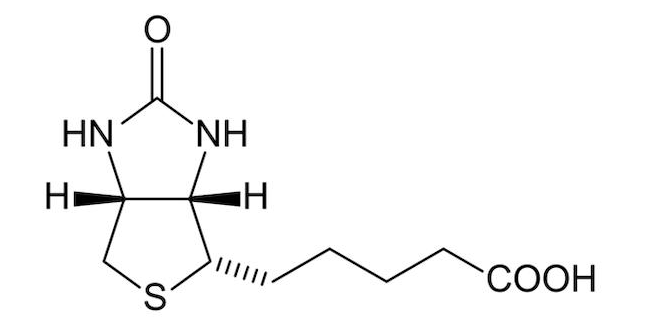 BHQ-2-SeSe-biotin 荧光猝灭剂BHQ-1/3双硒键化生物素 - 知乎