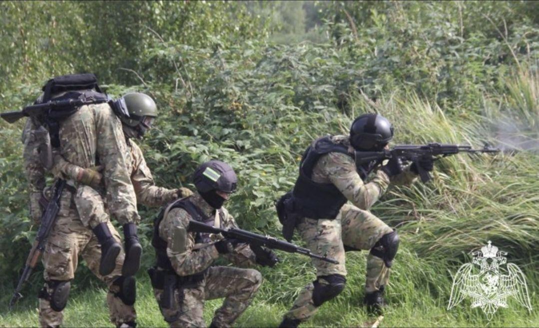 档案：暴走的“黑色贝雷帽”--里加OMOH - 知乎