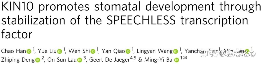 KIN10，给点糖我就罩着你！ - 知乎