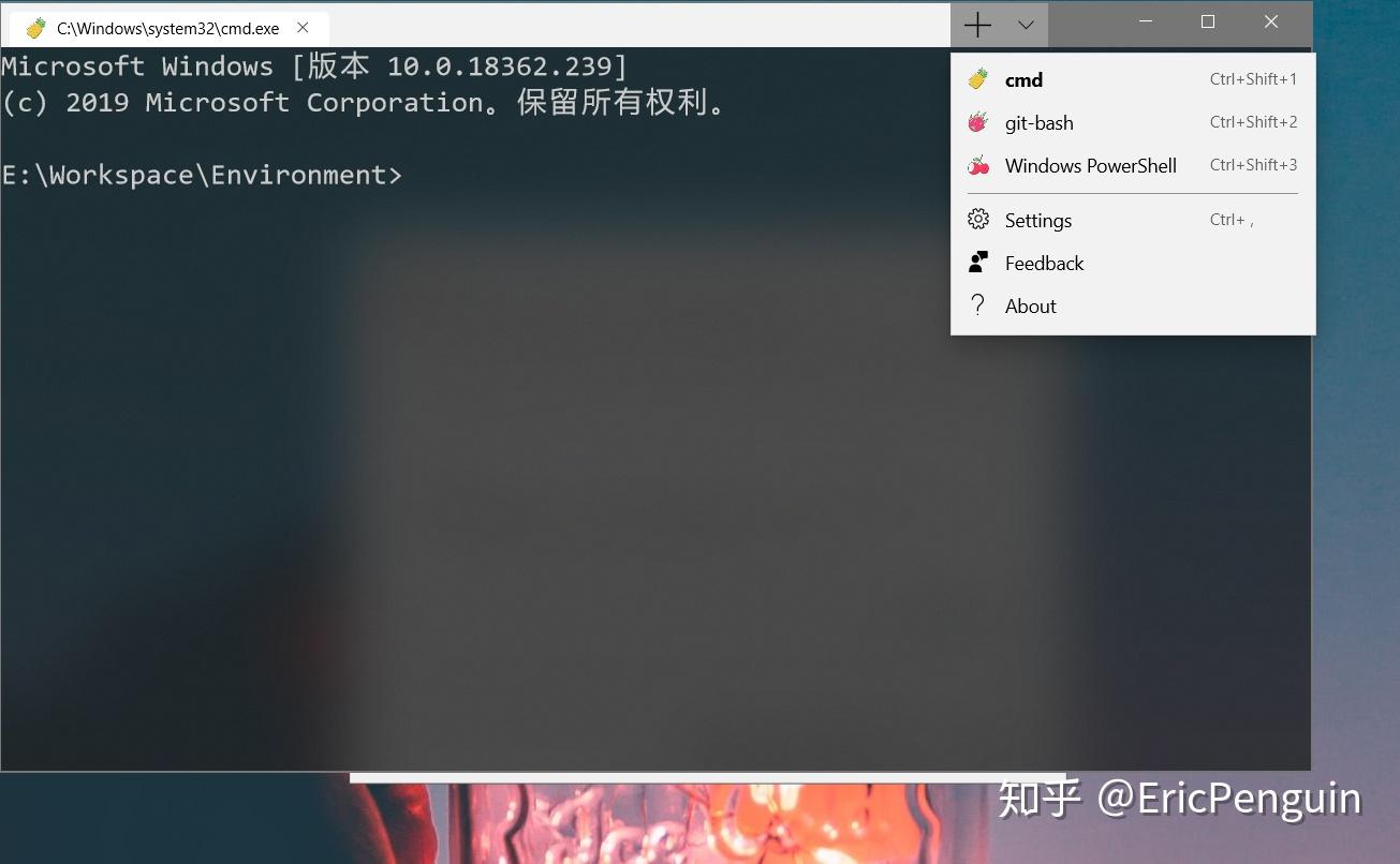 Windows Terminal（preview） 安装踩坑记录 - 知乎