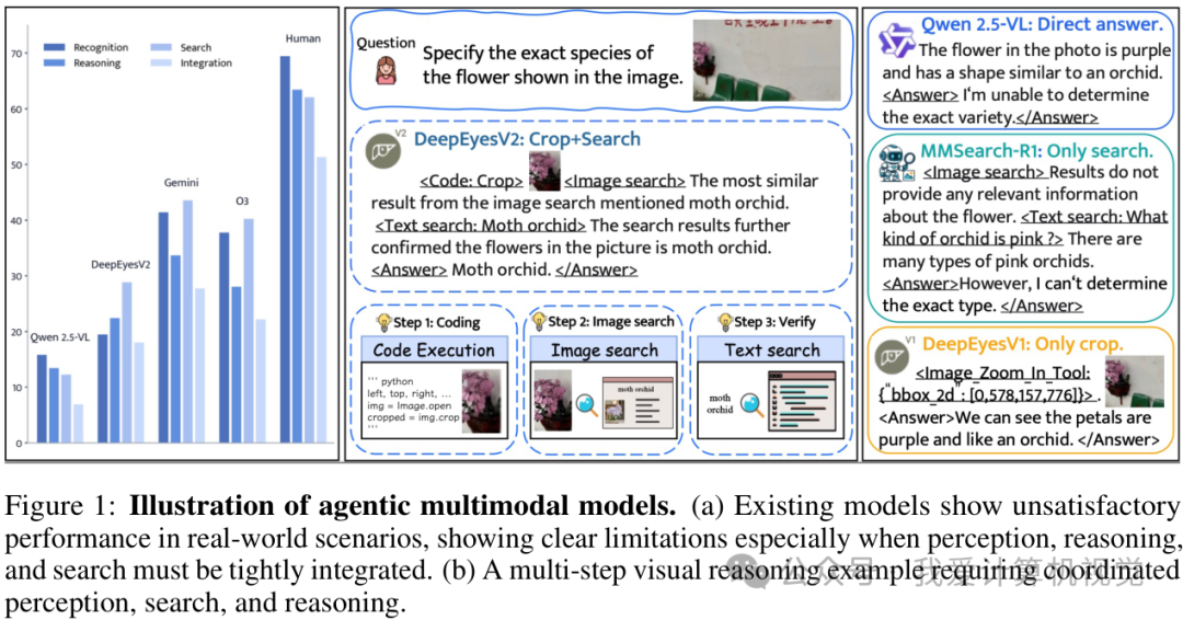 小红书新作DeepEyesV2，两阶段训练法解锁多模态“智能体”，真实世界任务表现惊艳 - 知乎