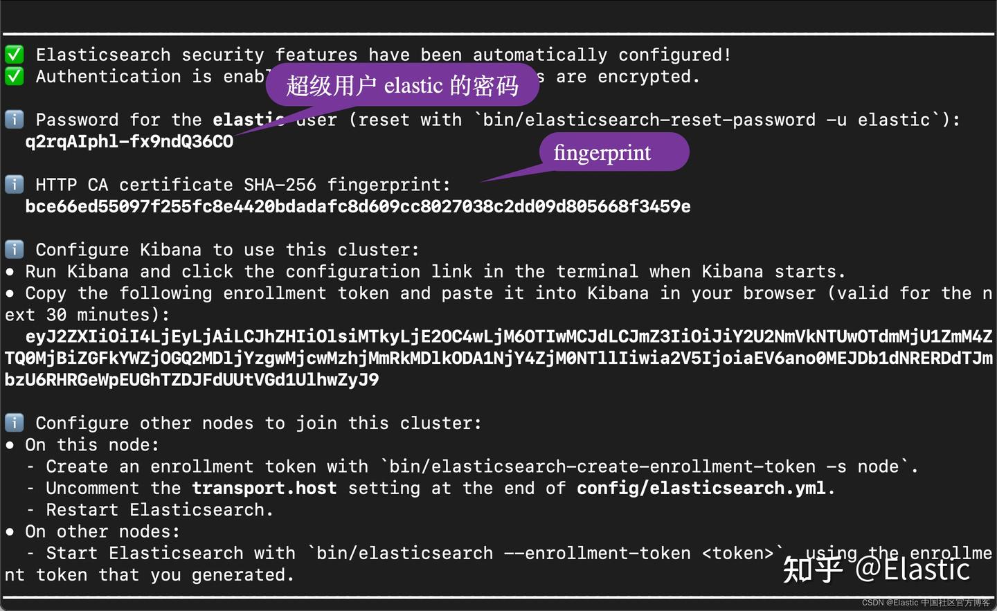 Elasticsearch：基于 Langchain 的 Elasticsearch Agent 对文档的搜索 - 知乎
