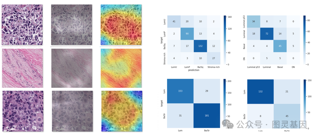 Cell Res ｜ 肿瘤挟持神经？北京大学杨竞团队报道癌细胞劫持神经信号 - 知乎