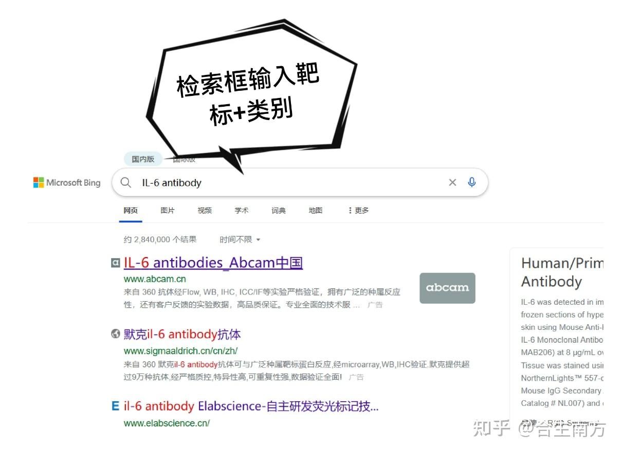 大家一般在哪里找抗体？ - 知乎