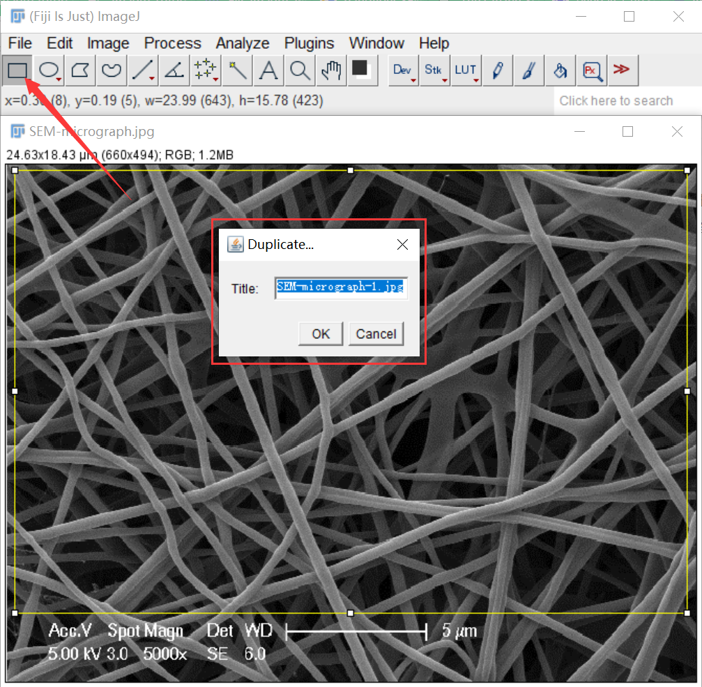 科研技巧 | 使用ImageJ快速给图像加标尺！ - 知乎