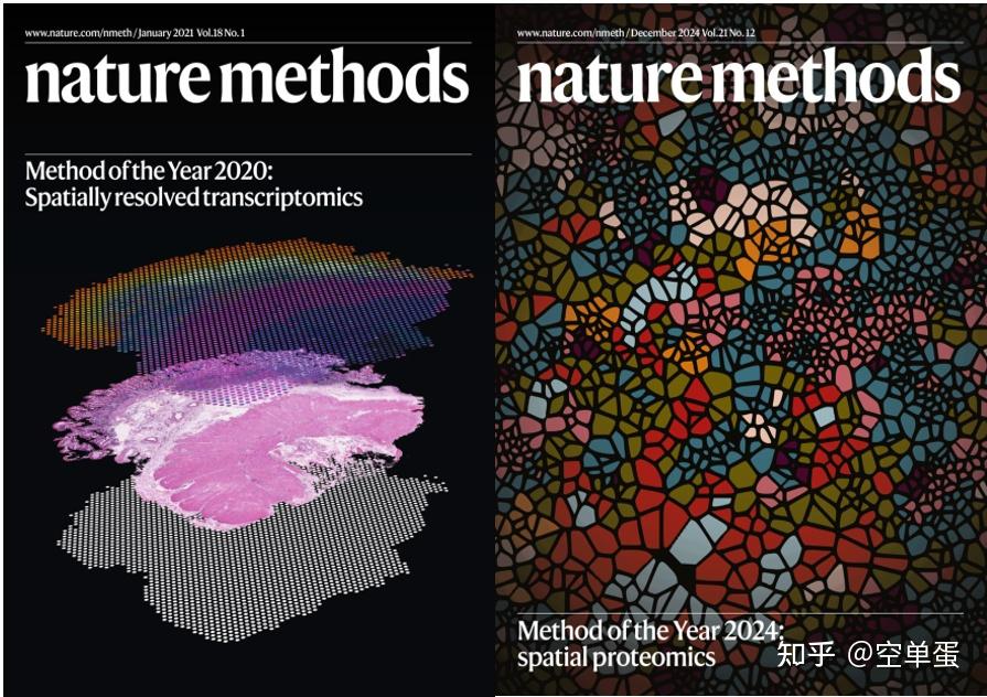 DeepSeek锐评｜Nature Methods发布的两次年度空间组学技术有哪些差别 - 知乎