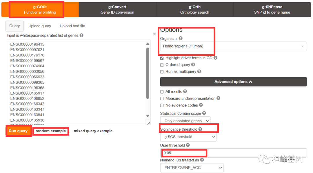 RNA 39. SCI文章中在线基因功能富集分析（g:Profiler） - 知乎