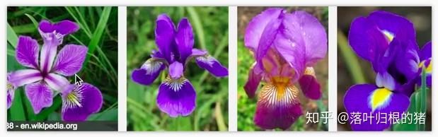 3. Sklearn —— KNN例子 - 知乎