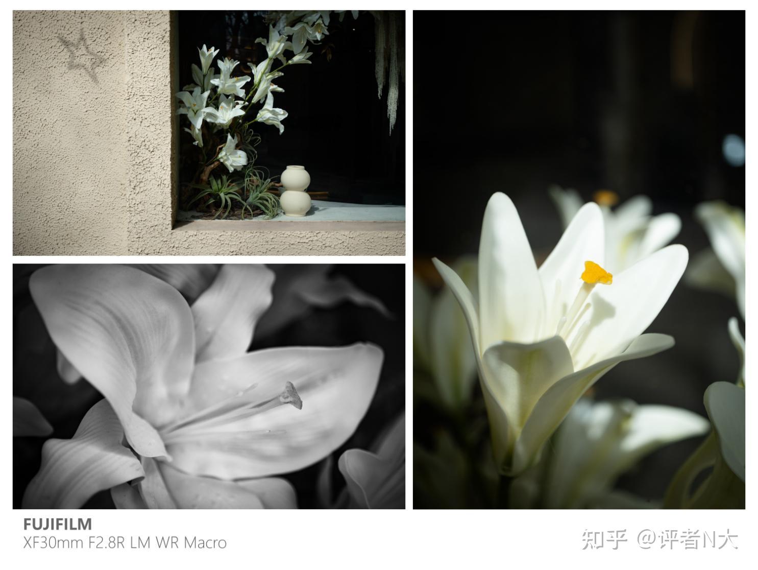 富士 XF30mm F2.8 R LM WR 微距镜头怎么样？ - 知乎