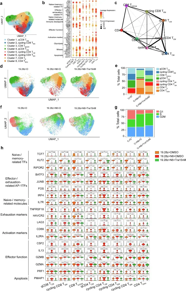 时空日报 | STTT：MEK抑制通过下调c-Fos和JunB来阻止CAR-T细胞耗竭和分化 - 知乎
