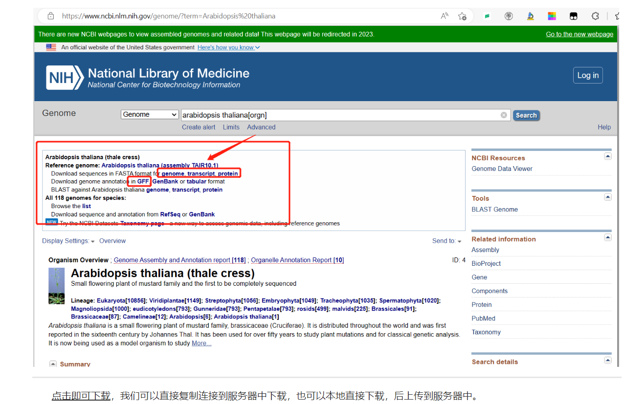一个转录组上游分析流程 | Hisat2-Stringtie - 知乎