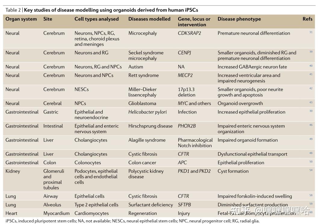 iPSC应用综述 | Induced pluripotent stem cells in disease modelling and drug ...