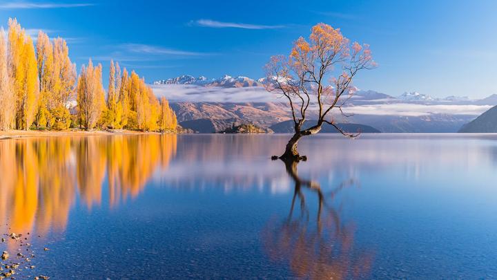 Debian 初体验 3. 网络配置 （VMware Fusion） - 知乎