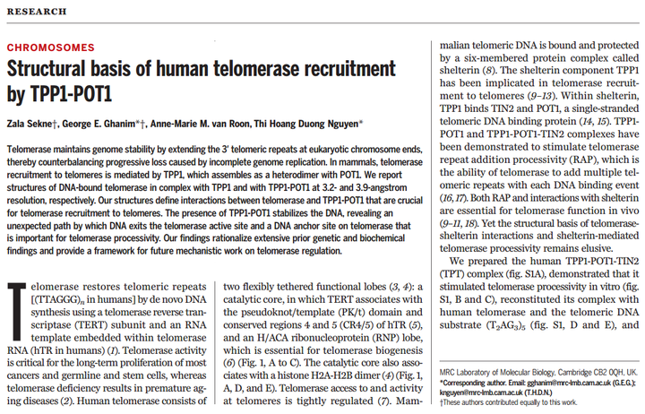 【文献翻译】TPP1-POT1募集人端粒酶的结构基础 - 知乎
